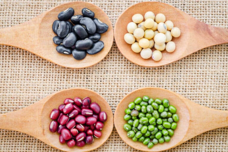 抹茶オレと抹茶ラテの違いを徹底解説！あなたはどちらが好き？